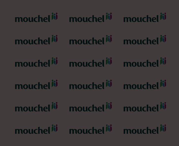 Mouchel Infrastructure Services – Developing a Strategic Asset ...